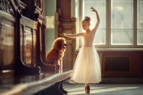 Dog Dancing Competitions - Rules, Training & Tips for Success