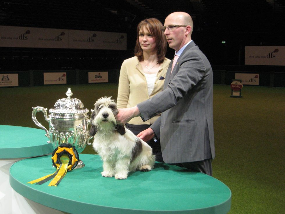 Learn Everything About Dog Shows - Dogoland